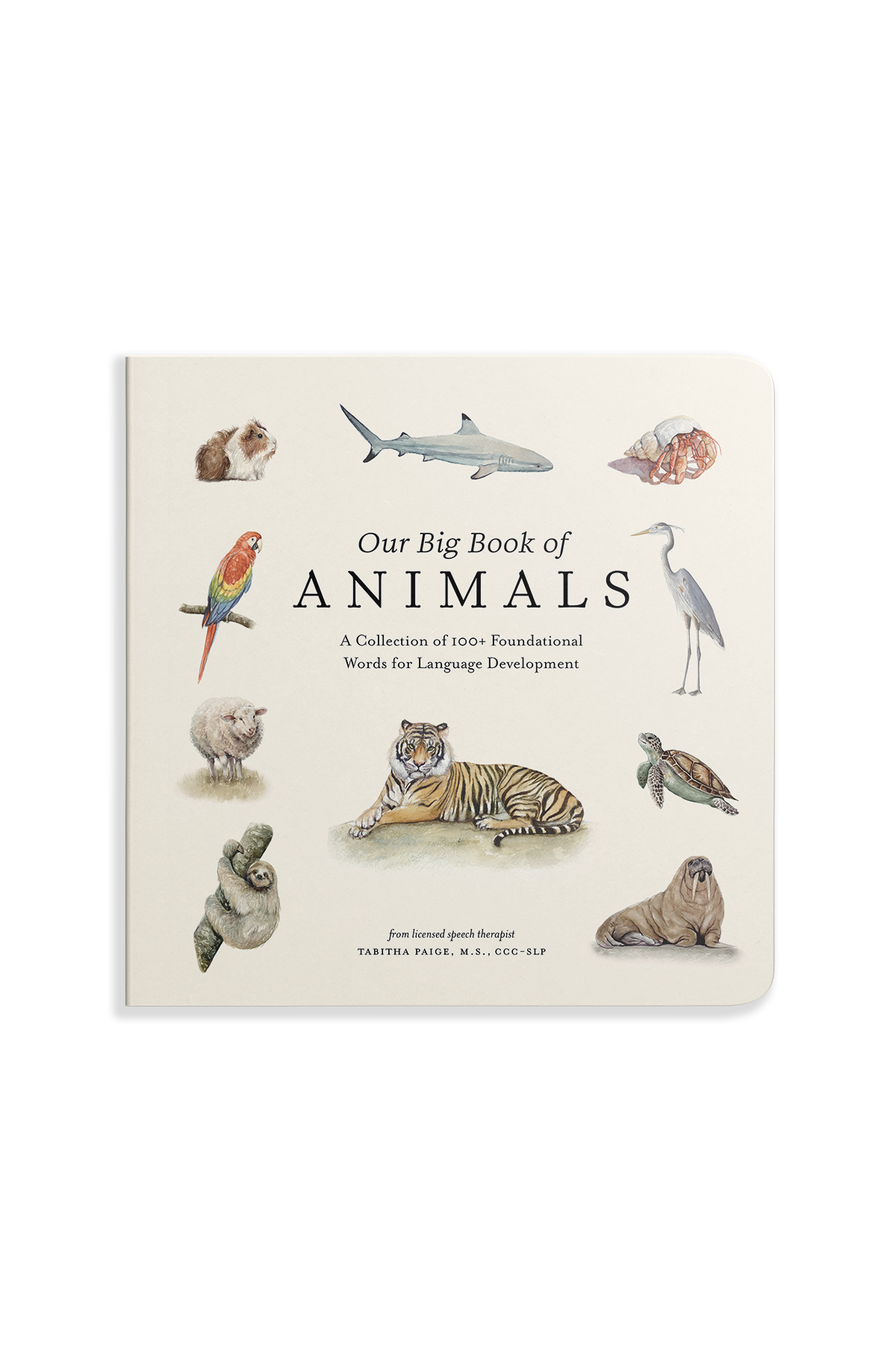 Our Big Book of Animals – Blue Star Press